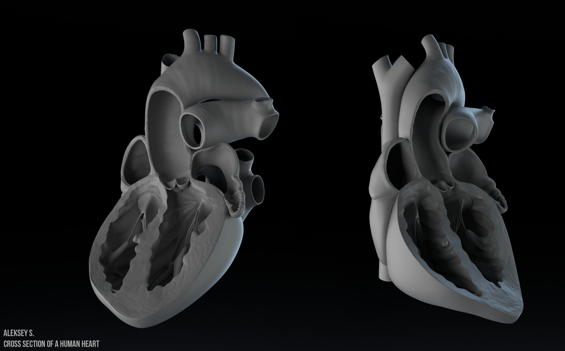 ArtStation - Human Heart