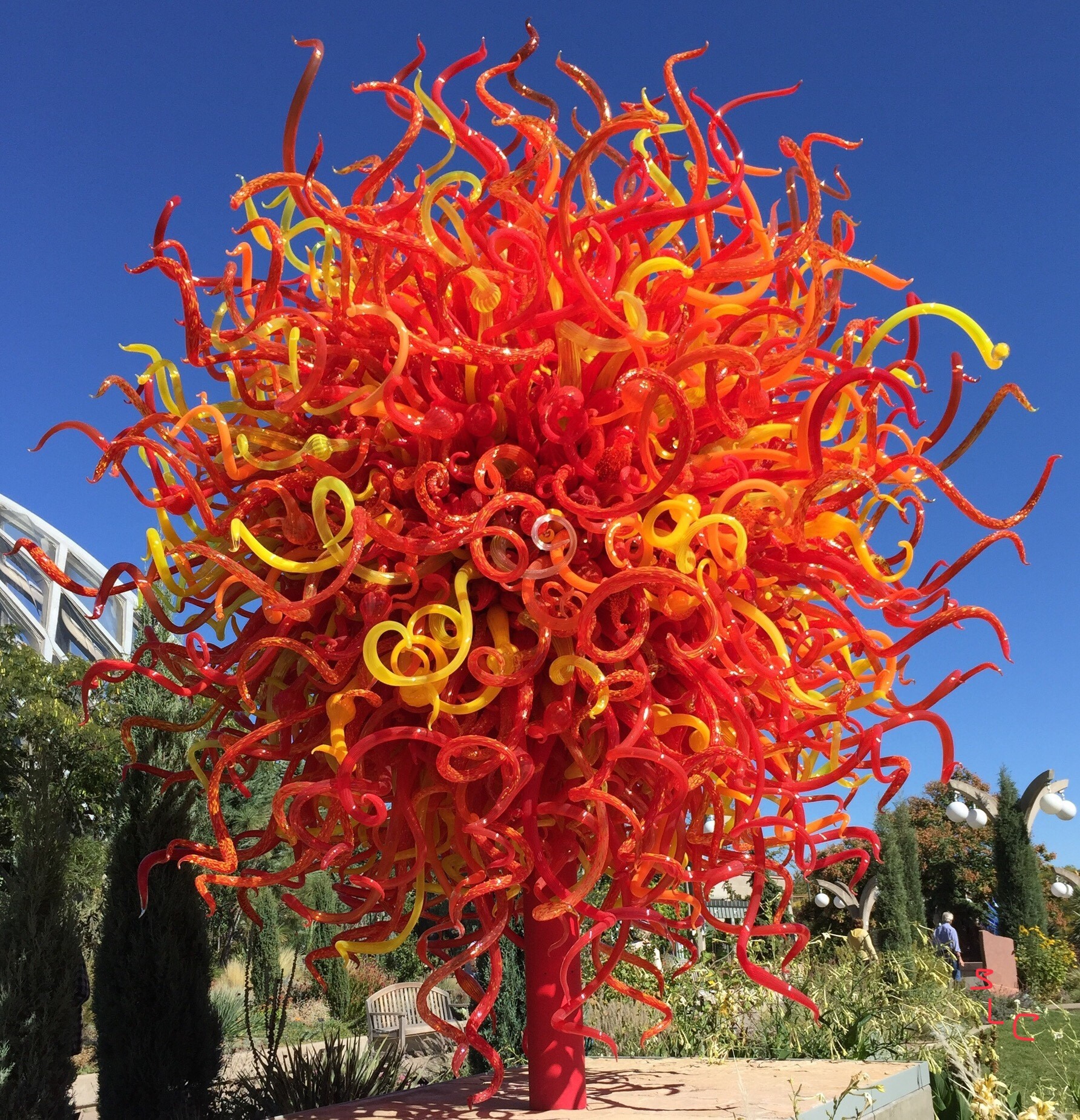 ArtStation - The Glass Tree