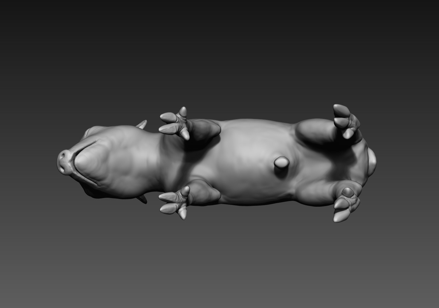 Walfrido Monteiro - Queixada (tayassu pecari)