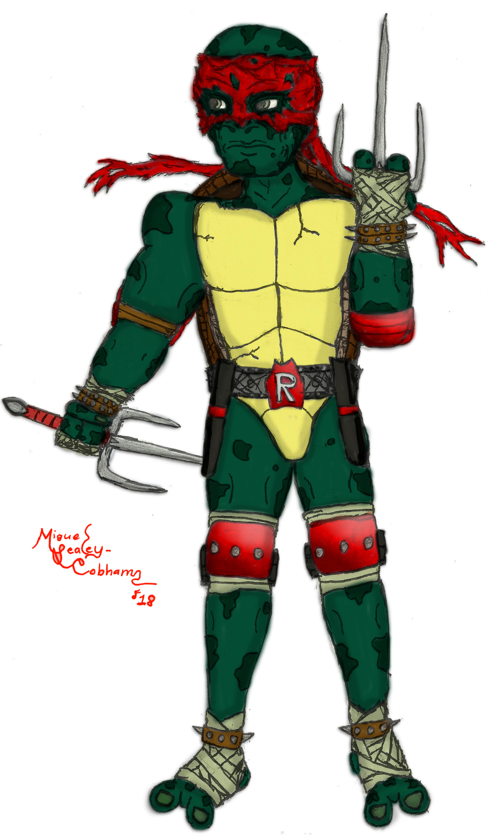 Ninja Turtles The Next Mutation Raphael