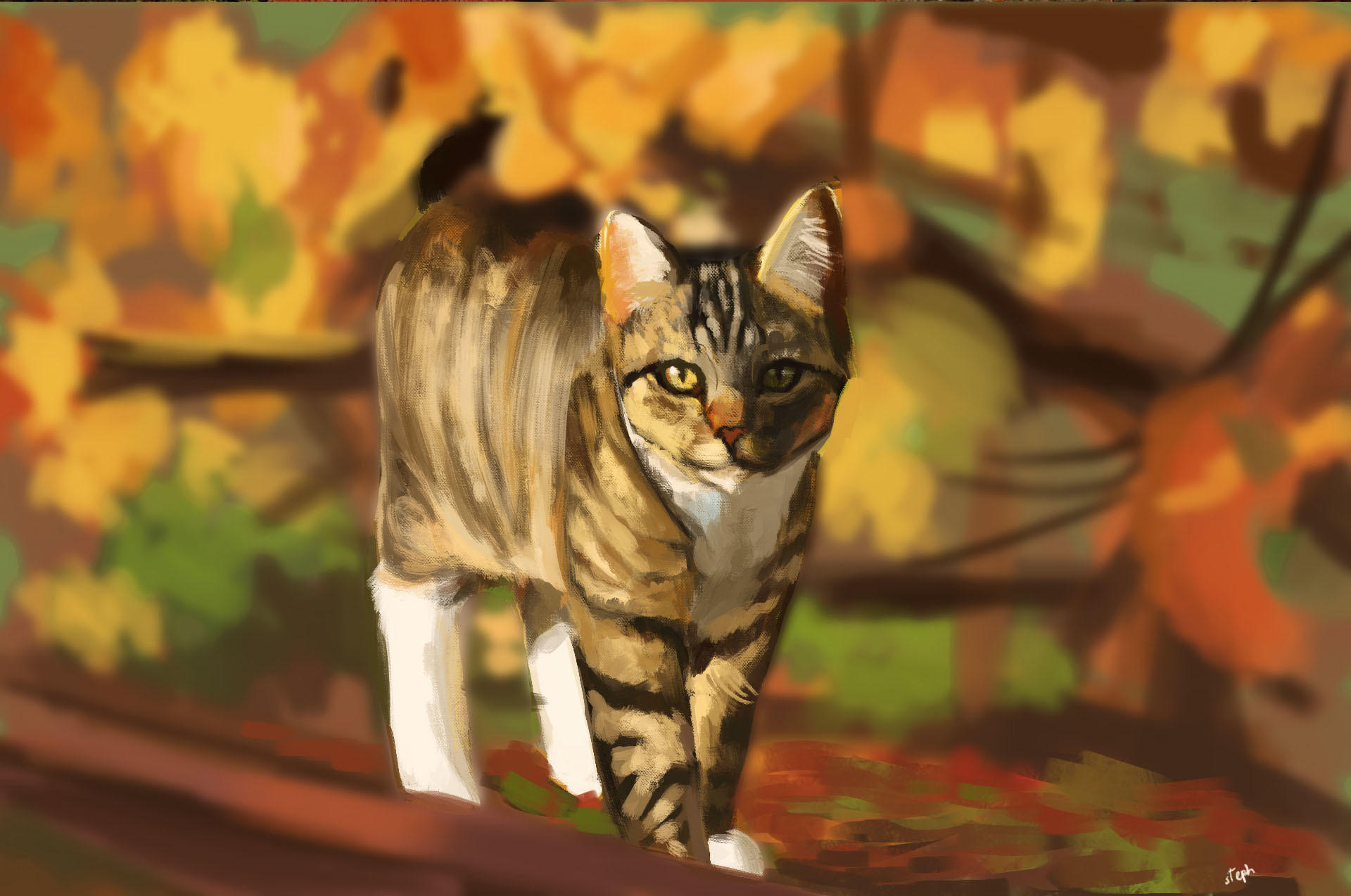 ArtStation - cat study