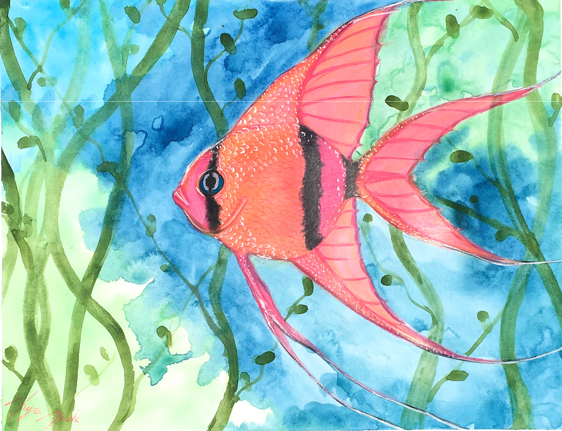 ArtStation - Pink Angelfish