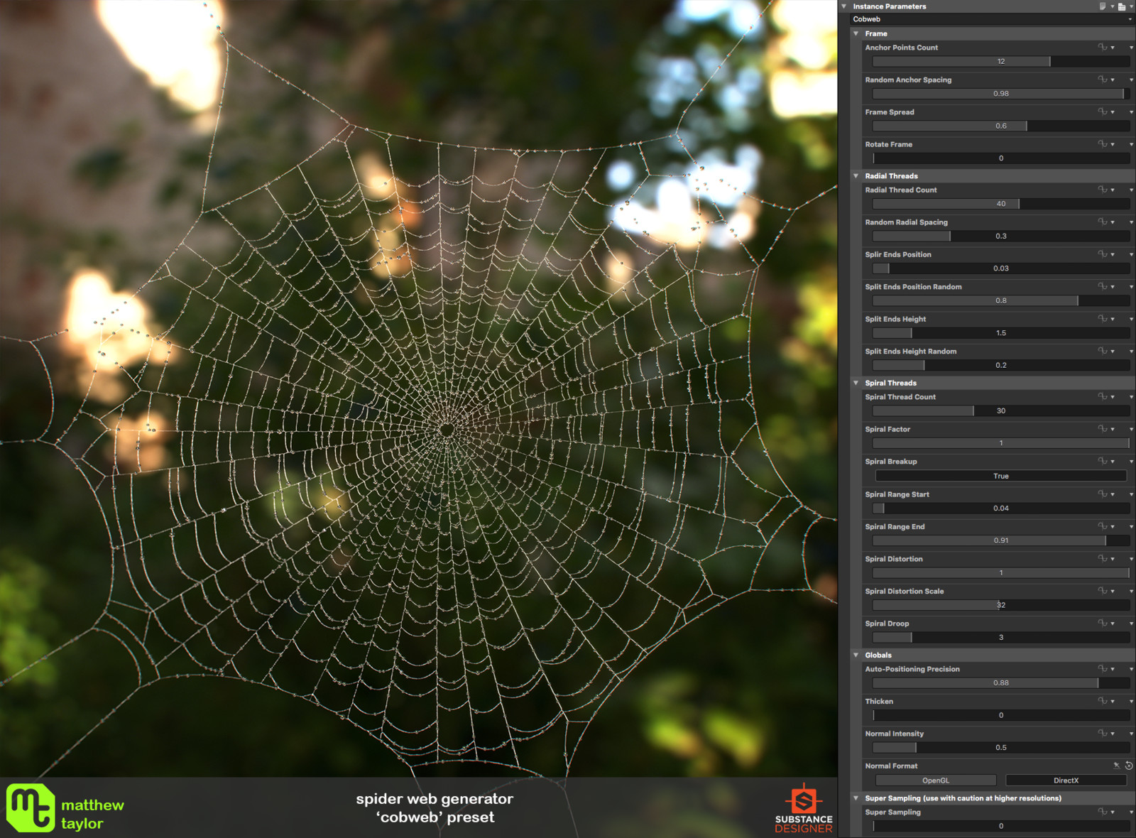 Matt Taylor's Portfolio - Spider Web Generator