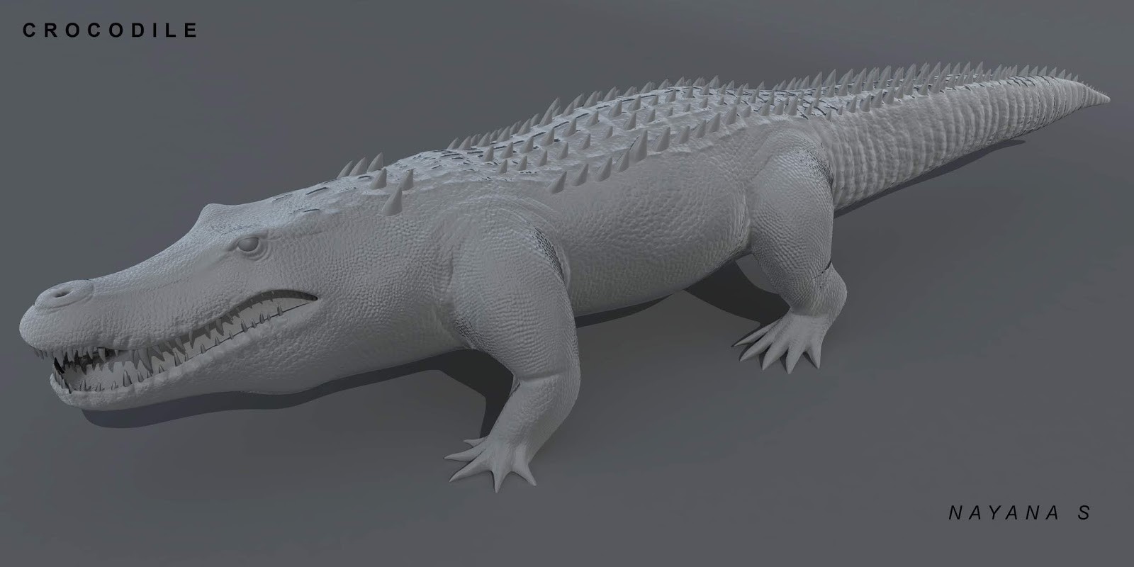 ArtStation - #Crocodile Digital Sculpt#