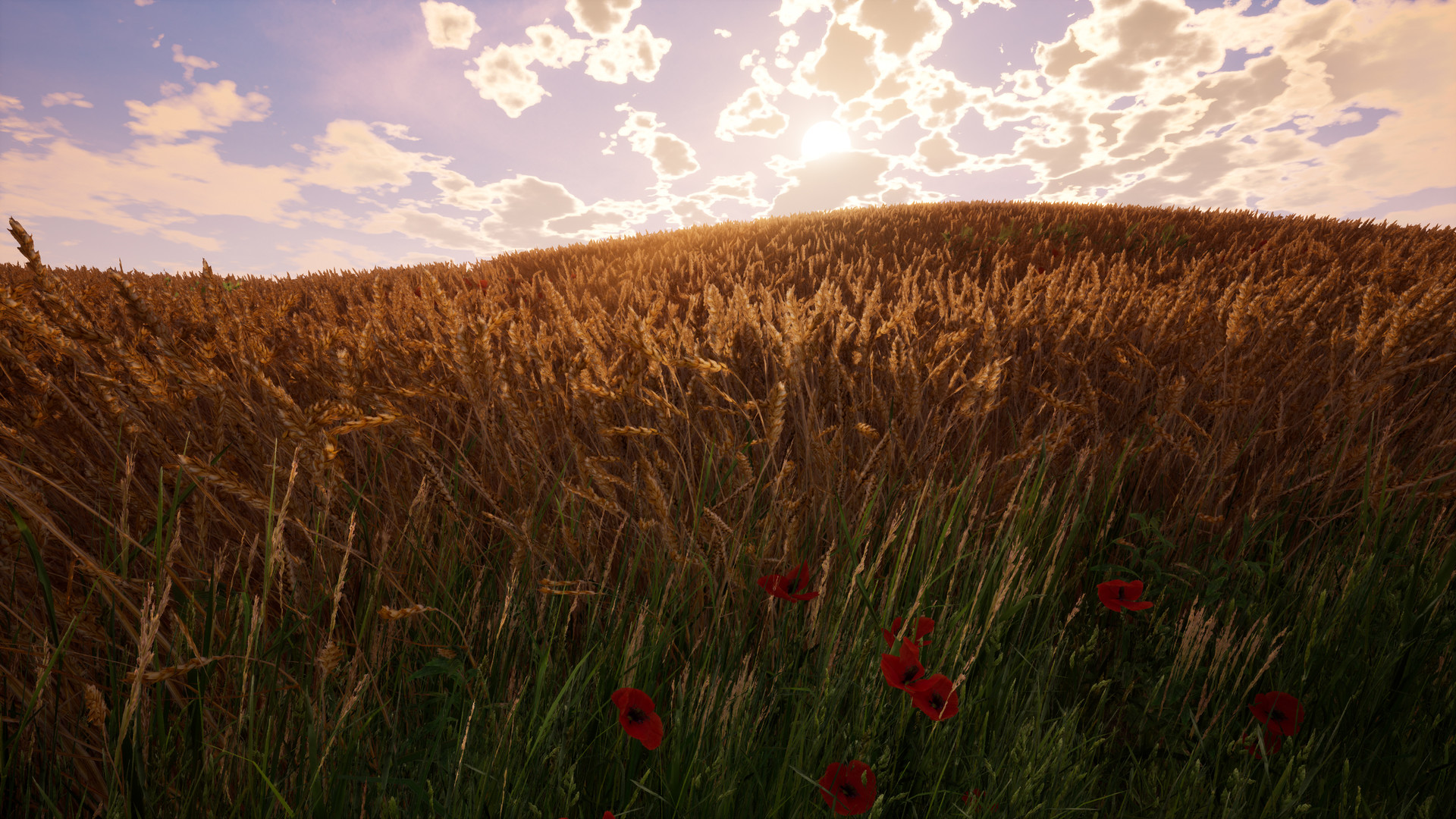Nils Arenz - UE4 wheat field with poppies in the sunset