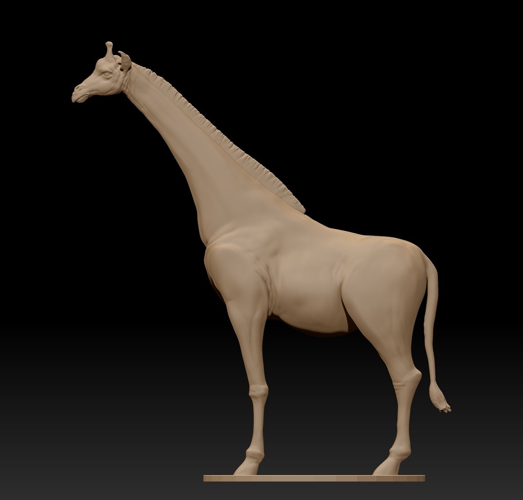 ArtStation - Giraffe sketch