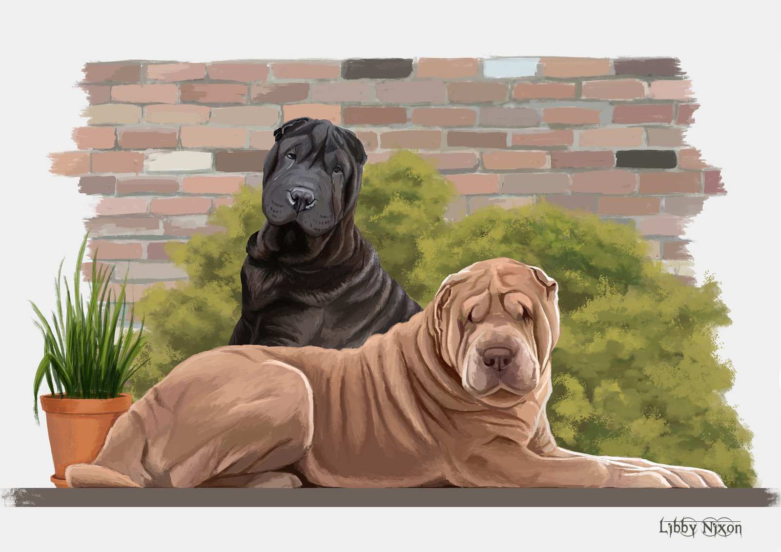 Libby Nixon - Midge & Finch