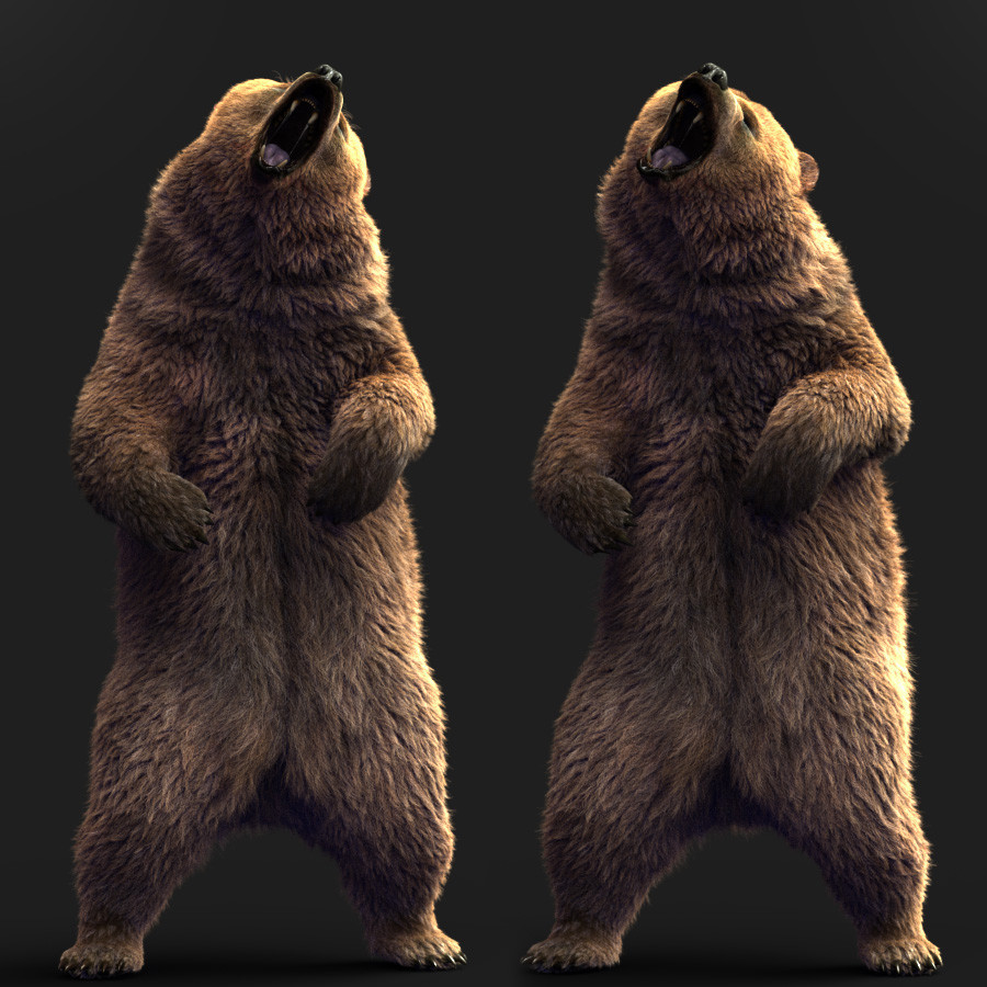Bear Upright