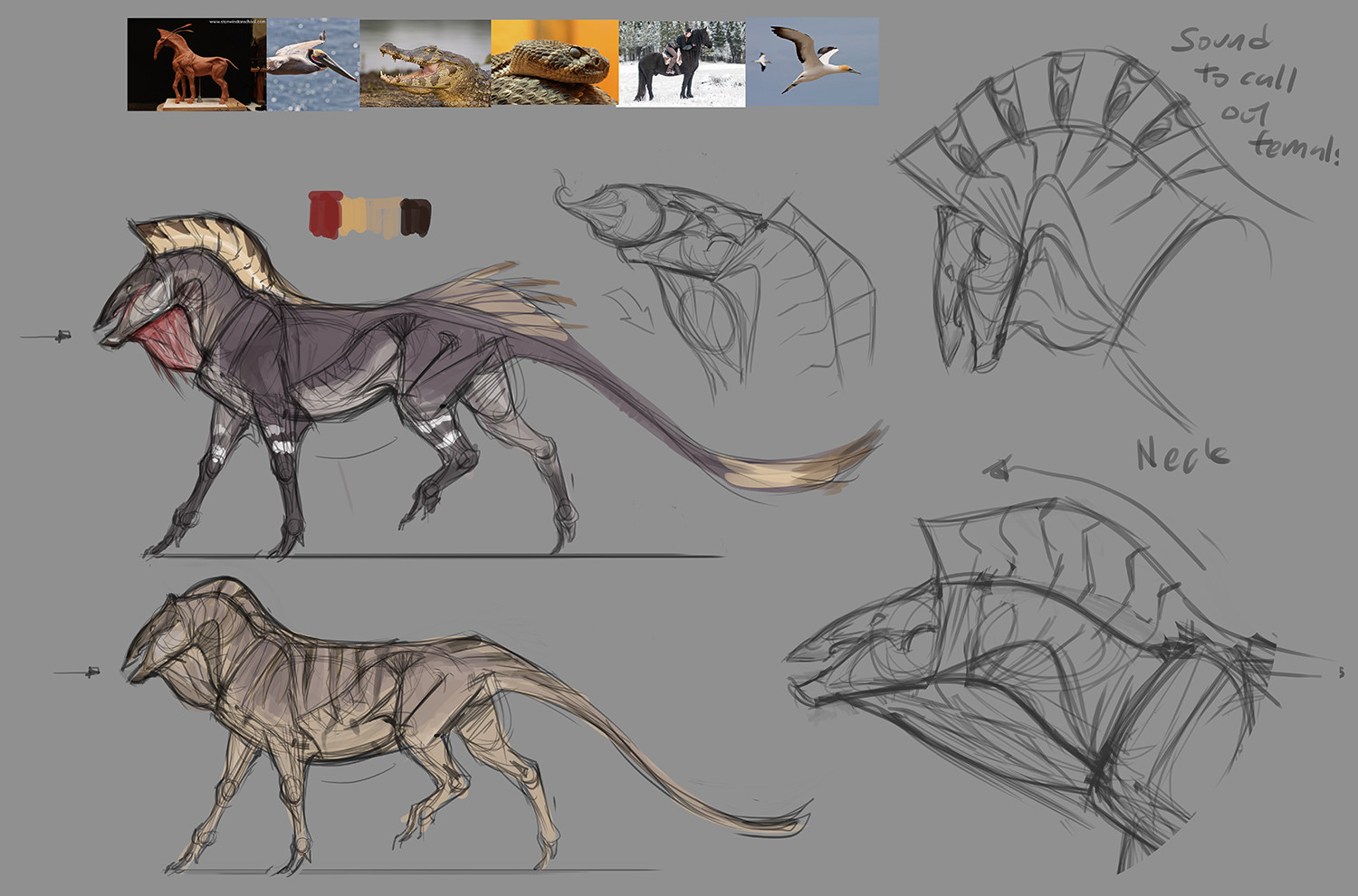 Foundation Art Group - Foundation Art Group - Animal Anatomy - Design ...