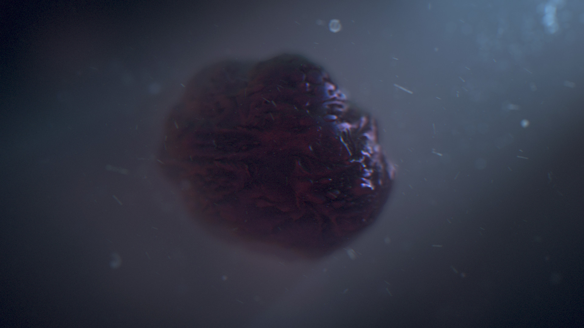 Linden Stirk - Fleshy Orb | Maya/V-Ray Displacement Test