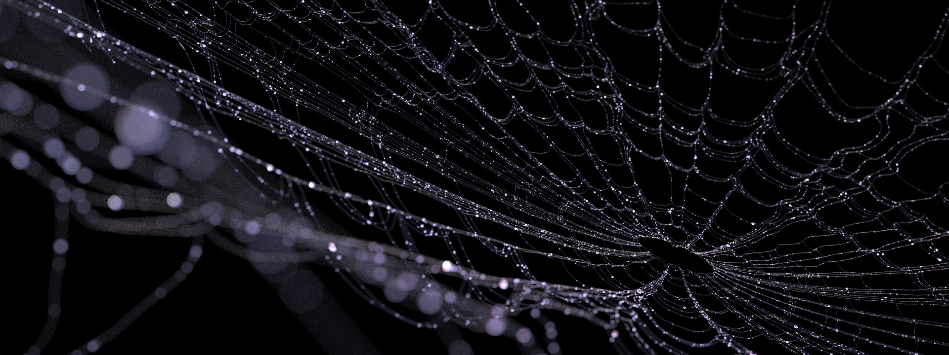 ArtStation - Houdini experiments - procedural spider web