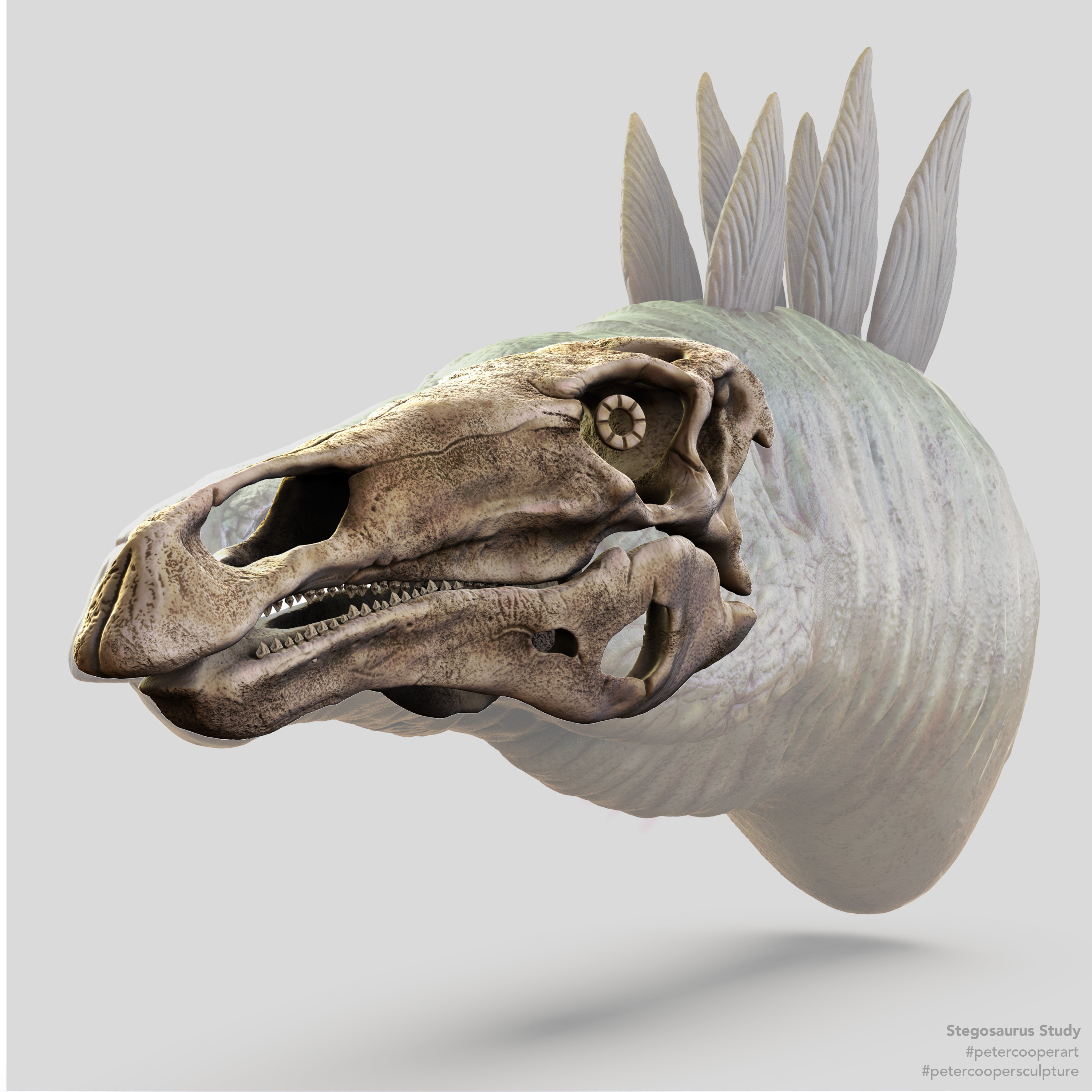 Sculptor | Creature Designer | Artist | Sculpture - Stegosaurus bust study.