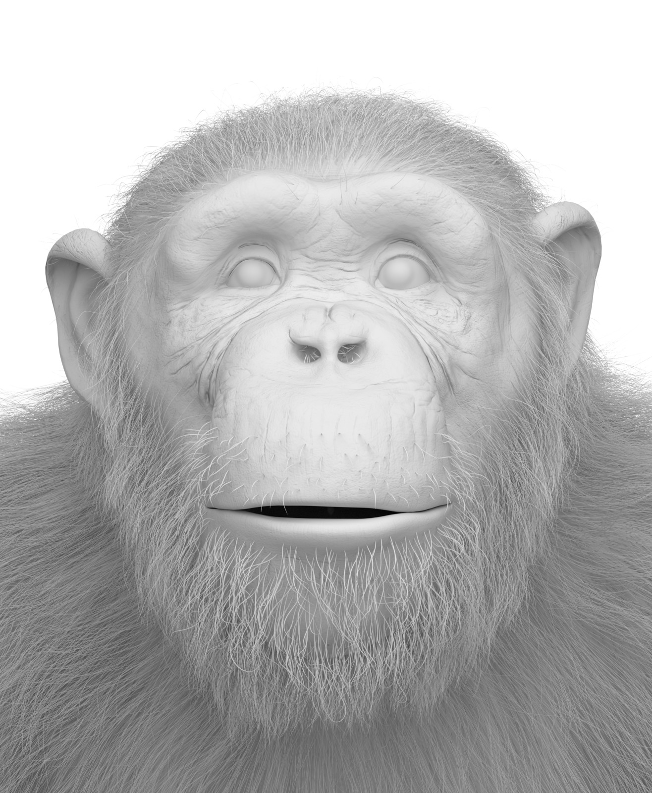 Manlin Sun - Monkey hair study