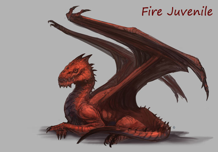 juvenile dragon