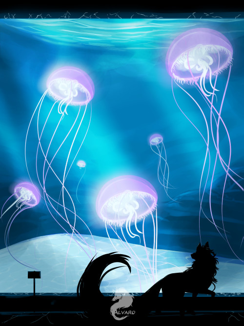 ArtStation - Ombre chinoise - méduse
