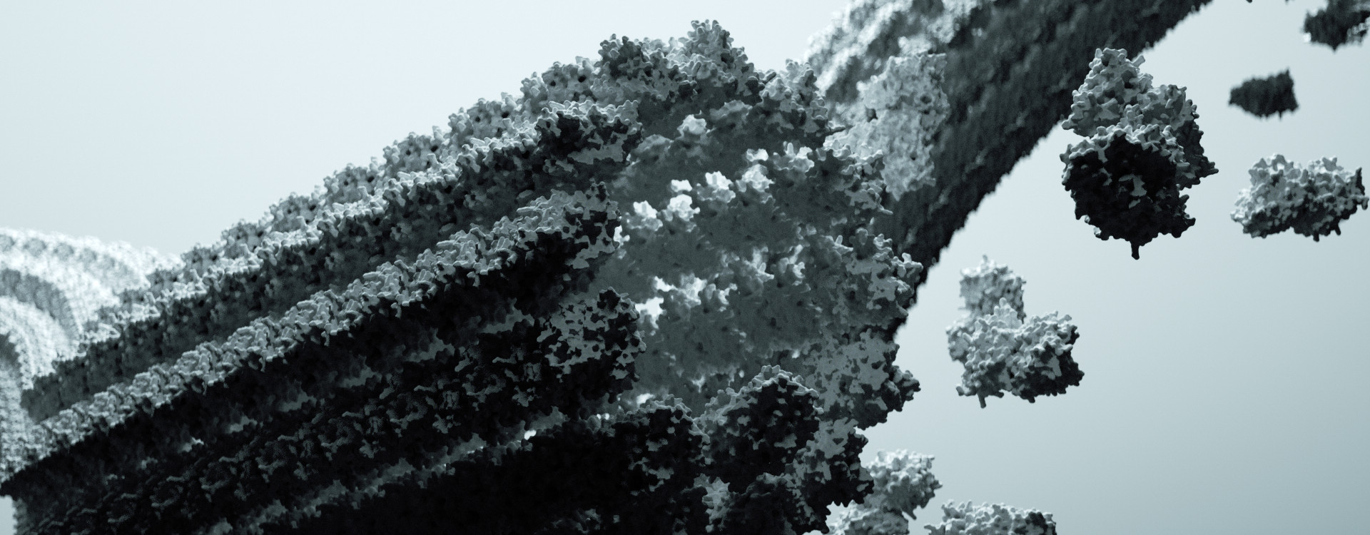 Christopher Strachan - Tubulin and Microtubules