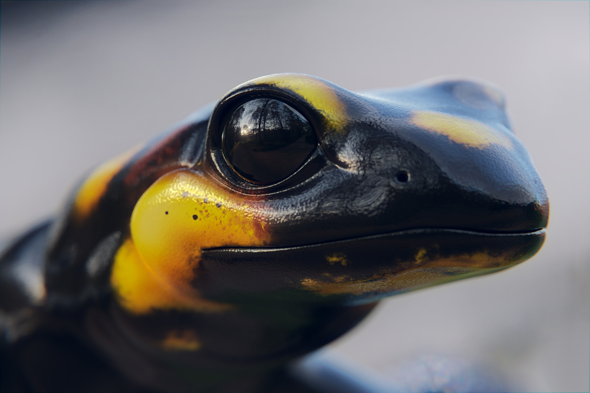 ArtStation - 3D Salamander