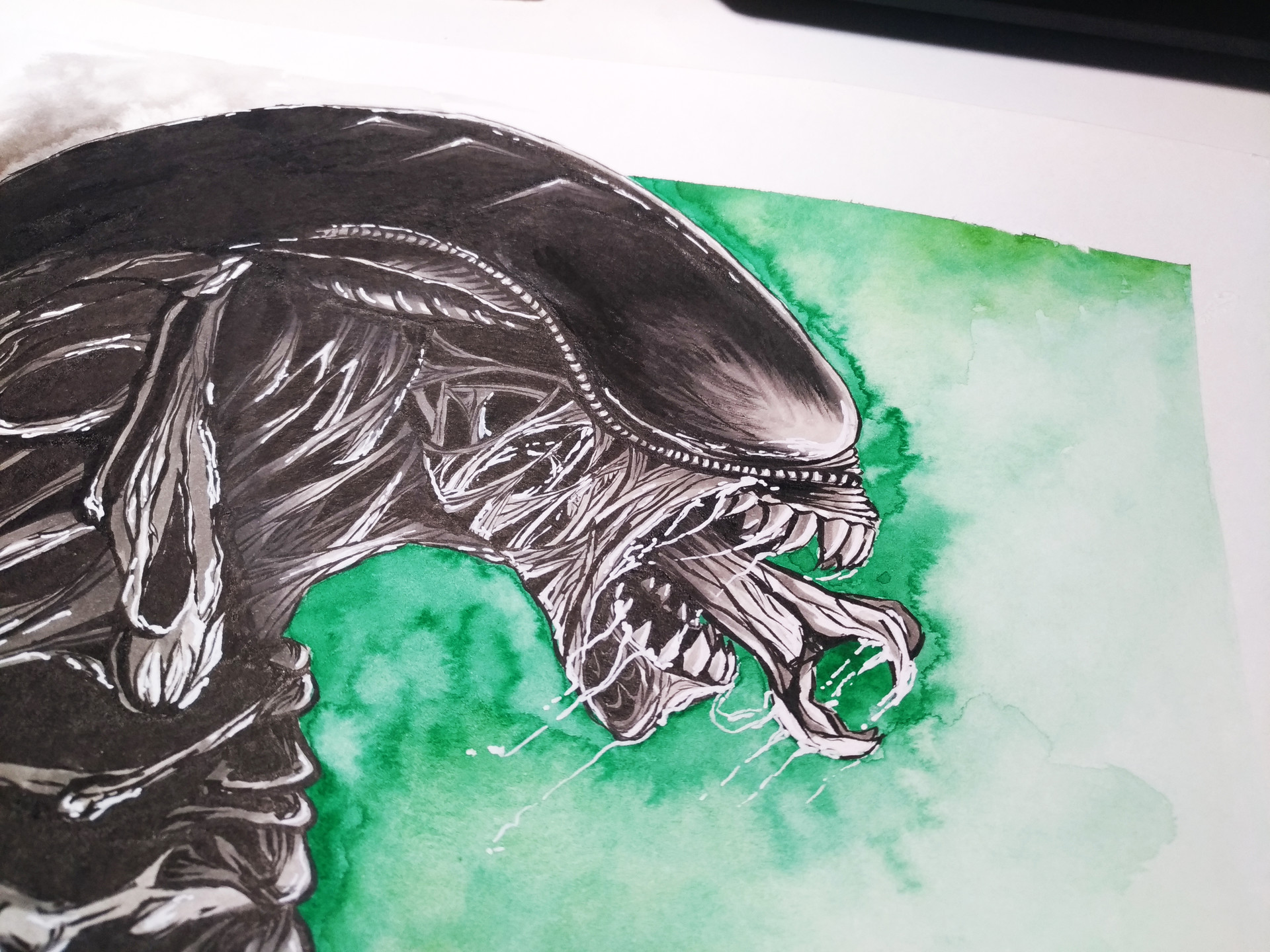 Simple Alien Vs Predator Drawings