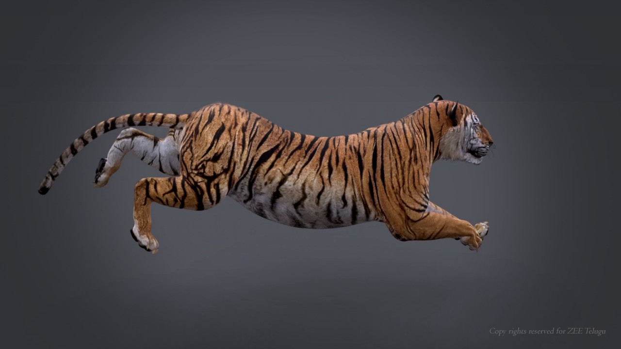 ArtStation - Tiger