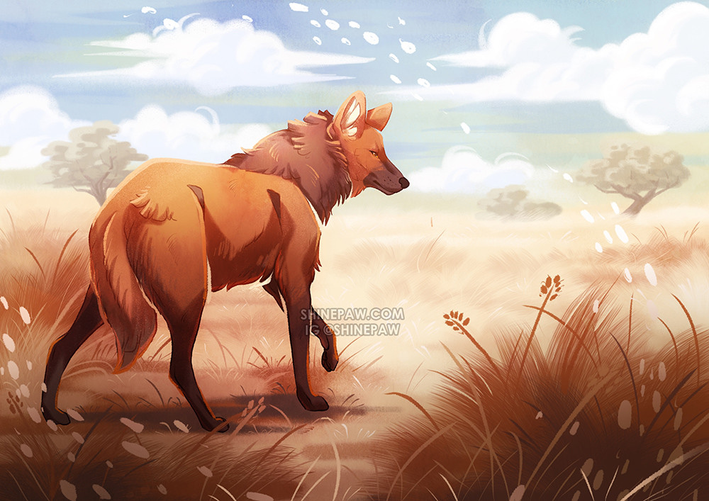 ArtStation - Maned wolf