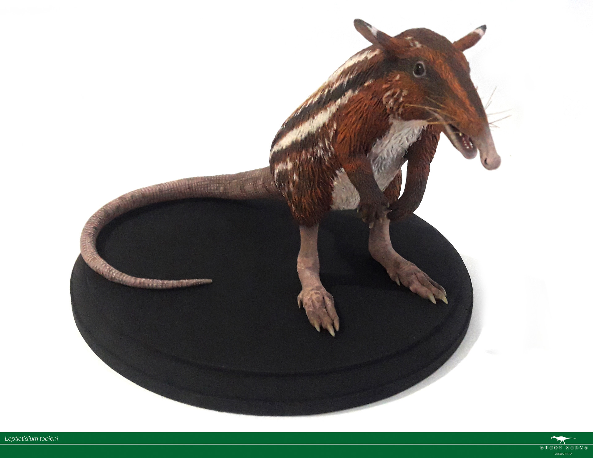 Vitor Silva - Leptictidium
