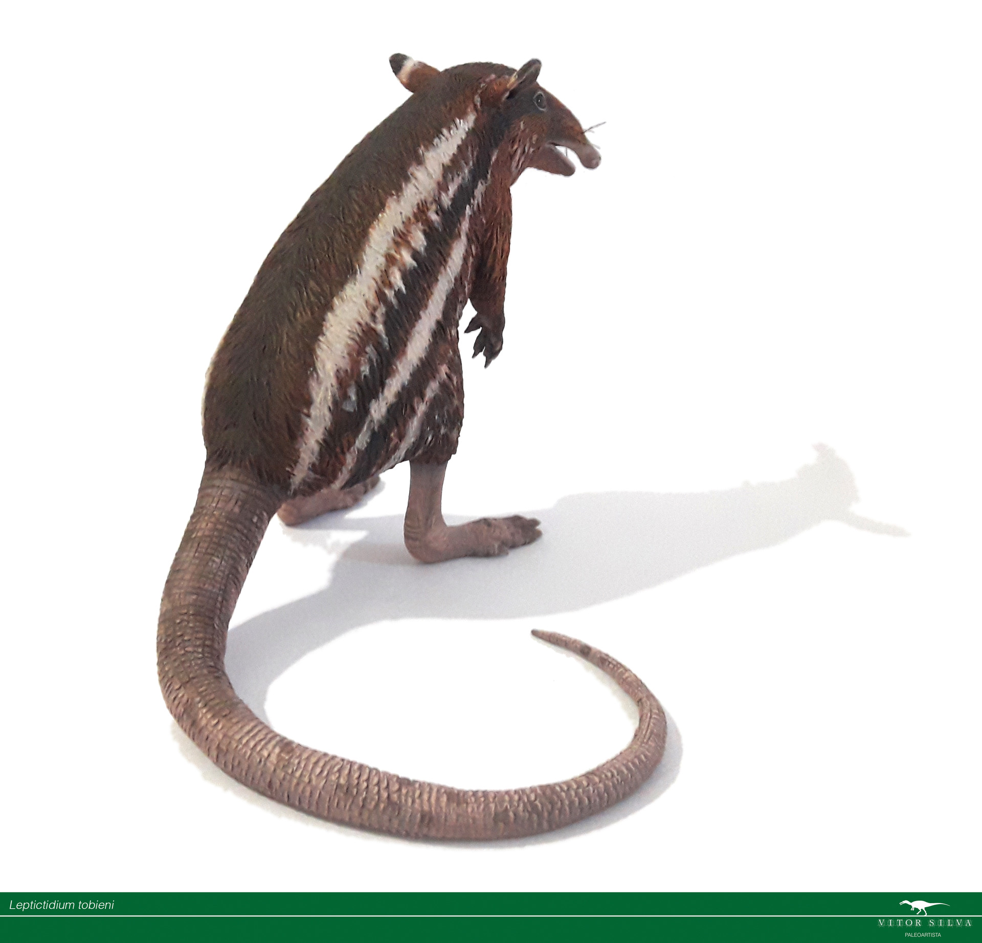 Vitor Silva - Leptictidium