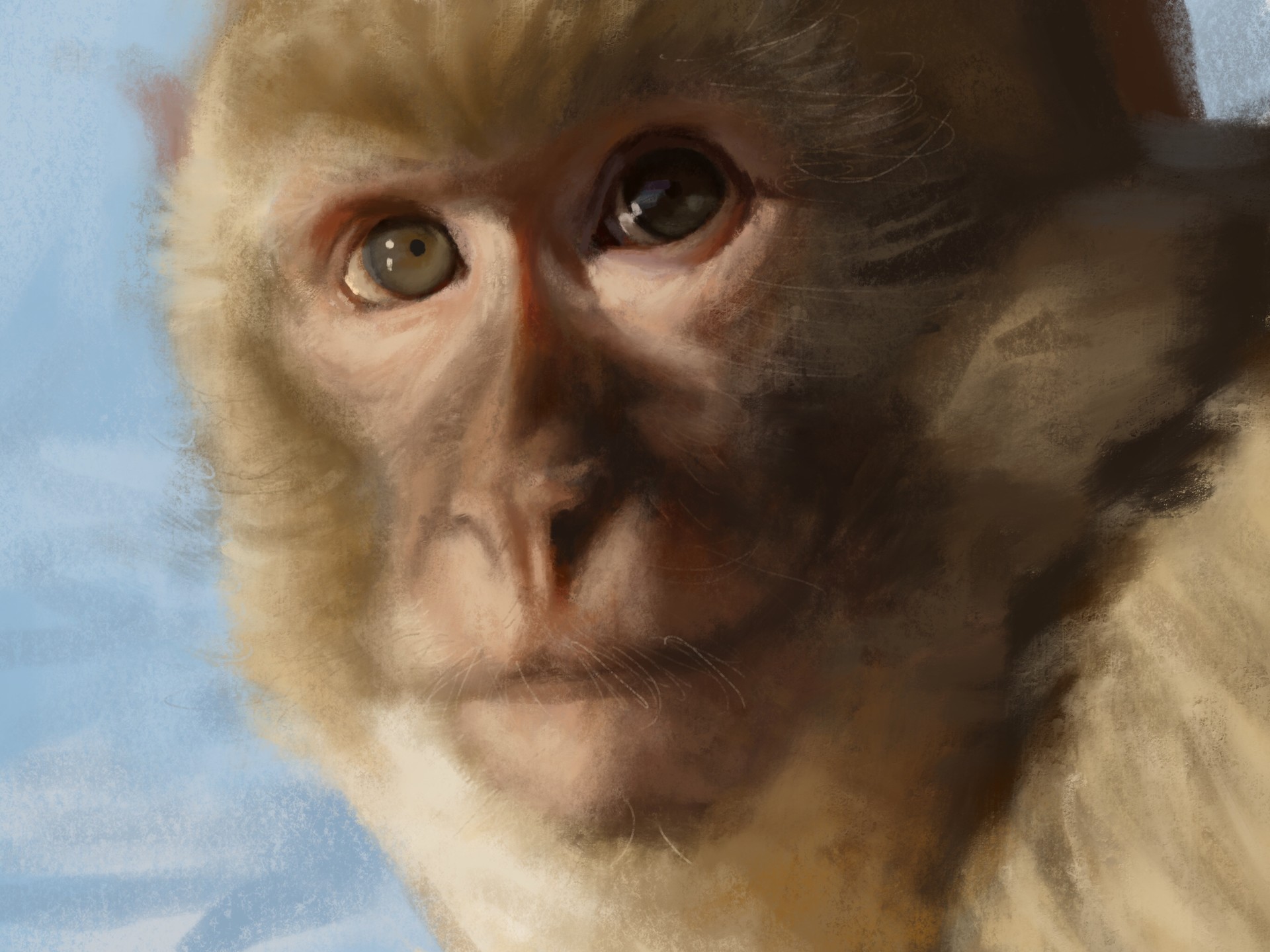 ArtStation - Monkey Study