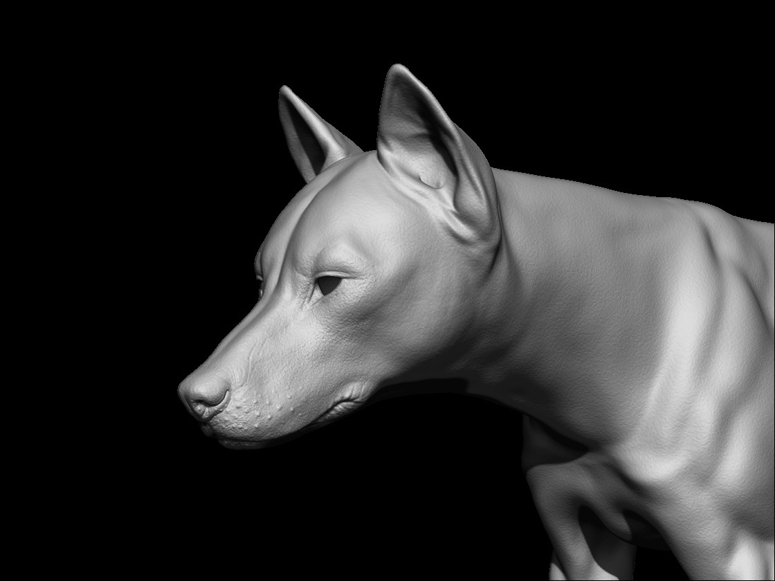 Aritz Basauri - Gray wolf