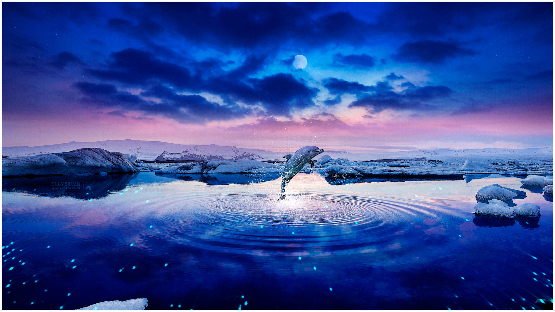 ArtStation - Dolphin's kingdom