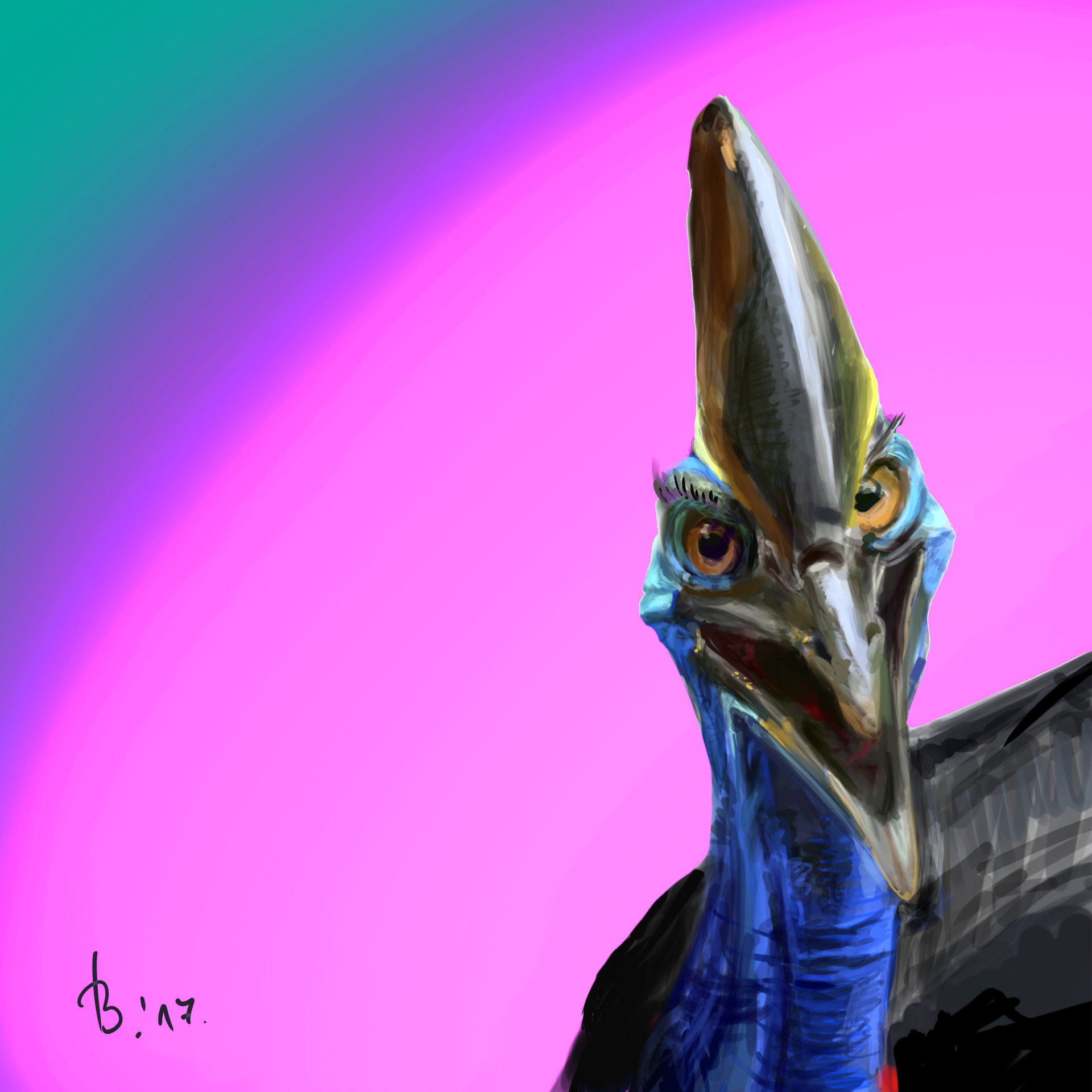 ArtStation - Cassowary - study