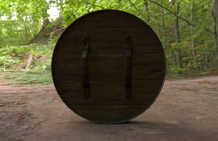 Sara Budzynowski - Viking Shield