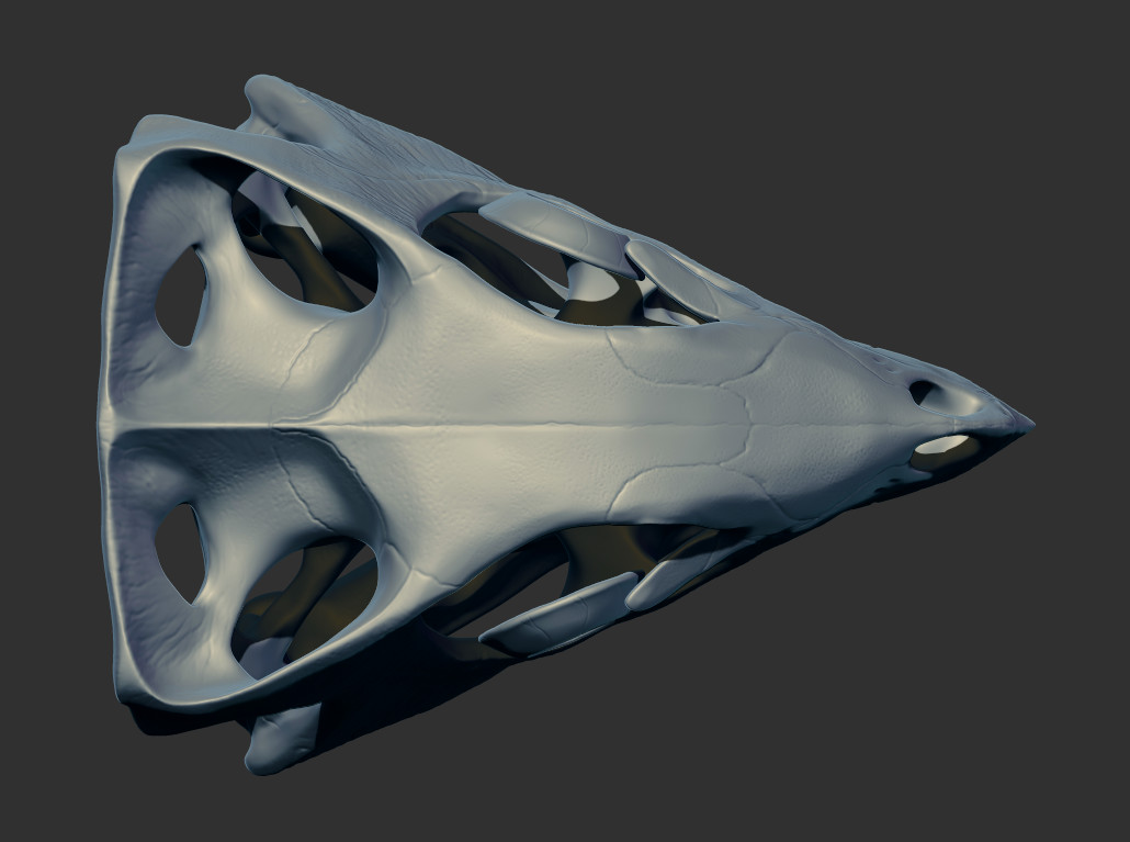 Fabrizio De Rossi - Update - Aquilops americanus skull