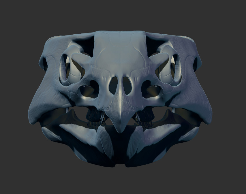 Fabrizio De Rossi - Update - Aquilops americanus skull