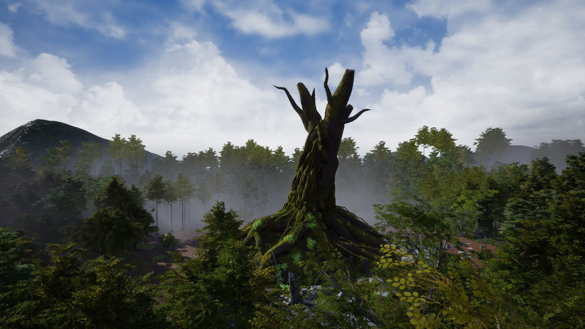 ArtStation - The Sacred Forest