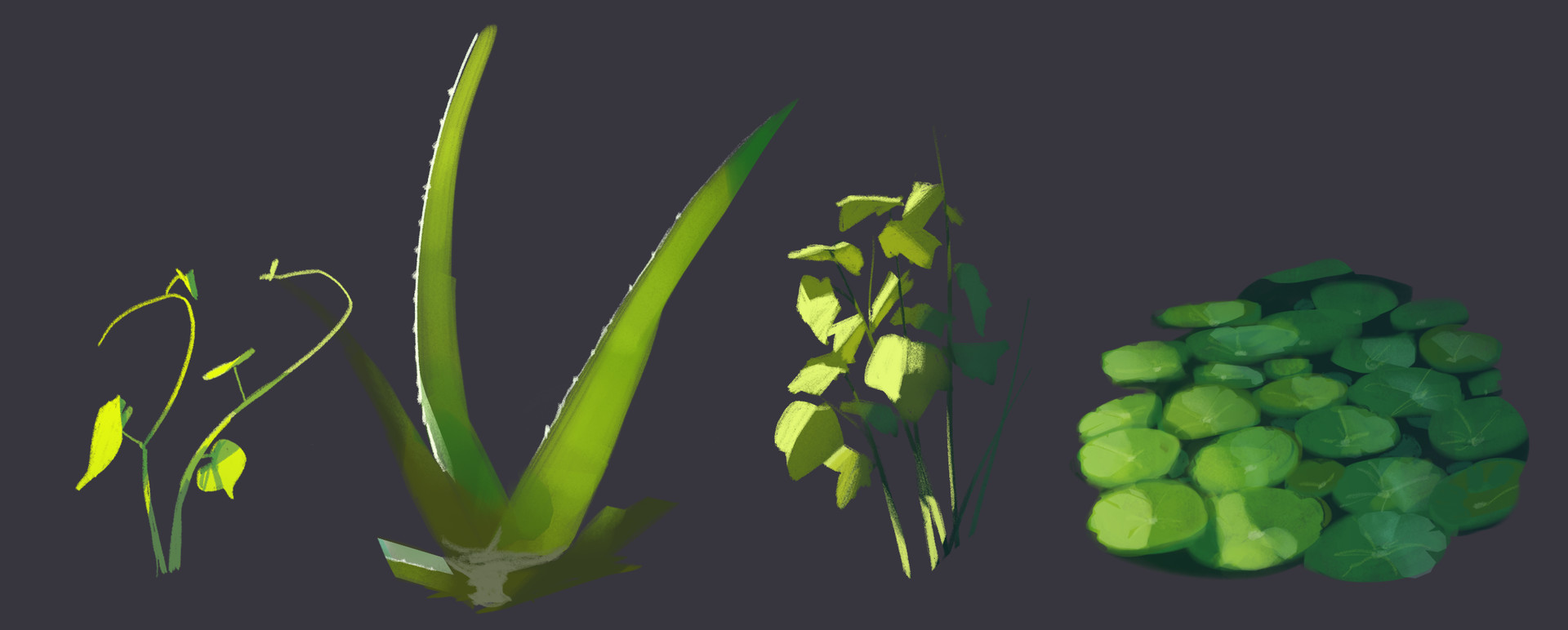 ArtStation - Plant Studies