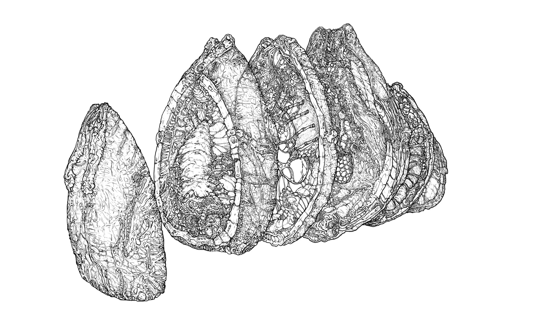 how to make a xenomorph egg