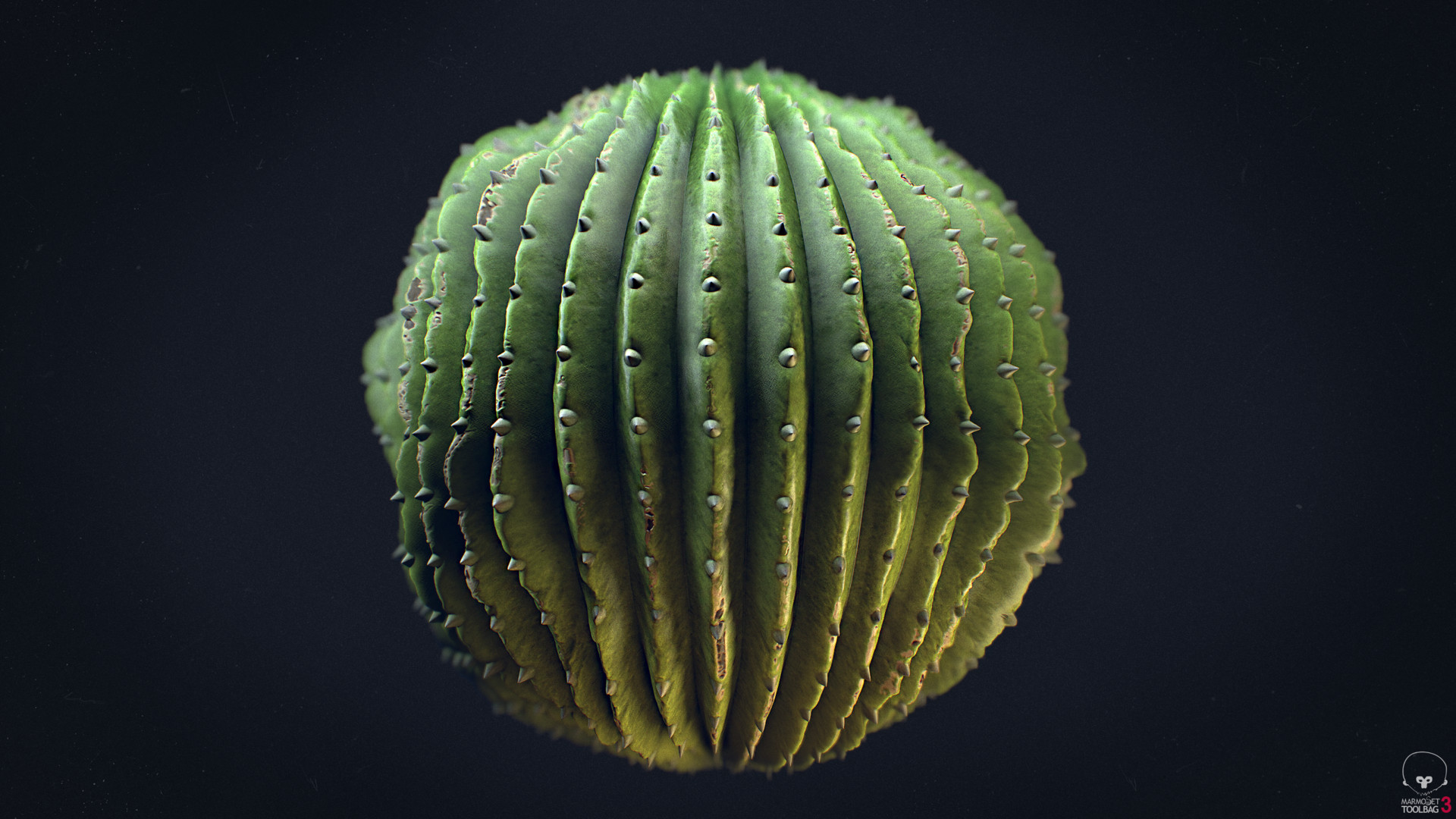 Maxence Hardenne - Stylized cactus - Substance Designer
