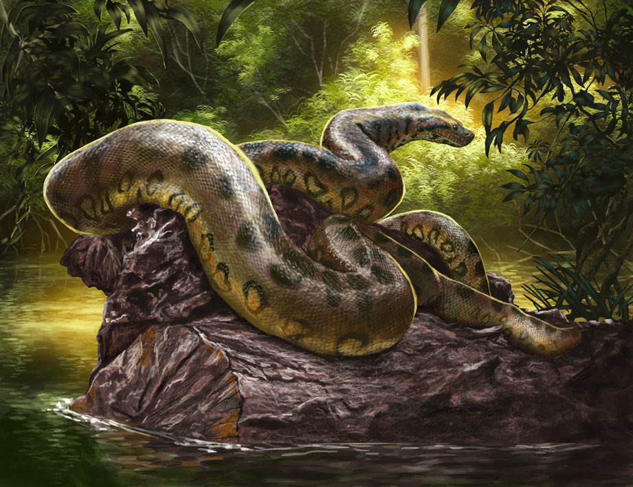 Anaconda Art