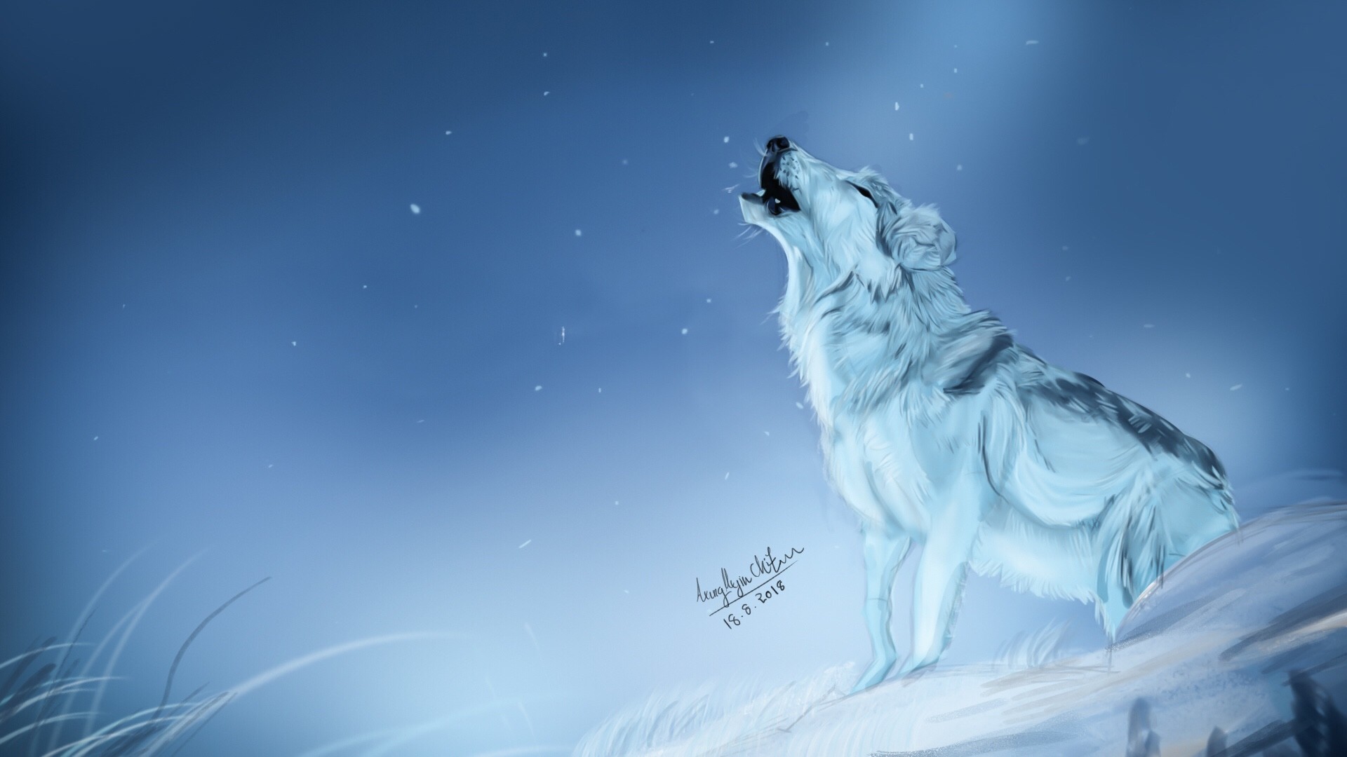 ArtStation - Fox Drawing