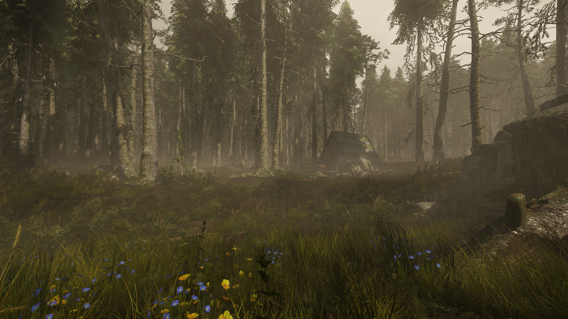 ArtStation - Natural effects in CryENGINE 3