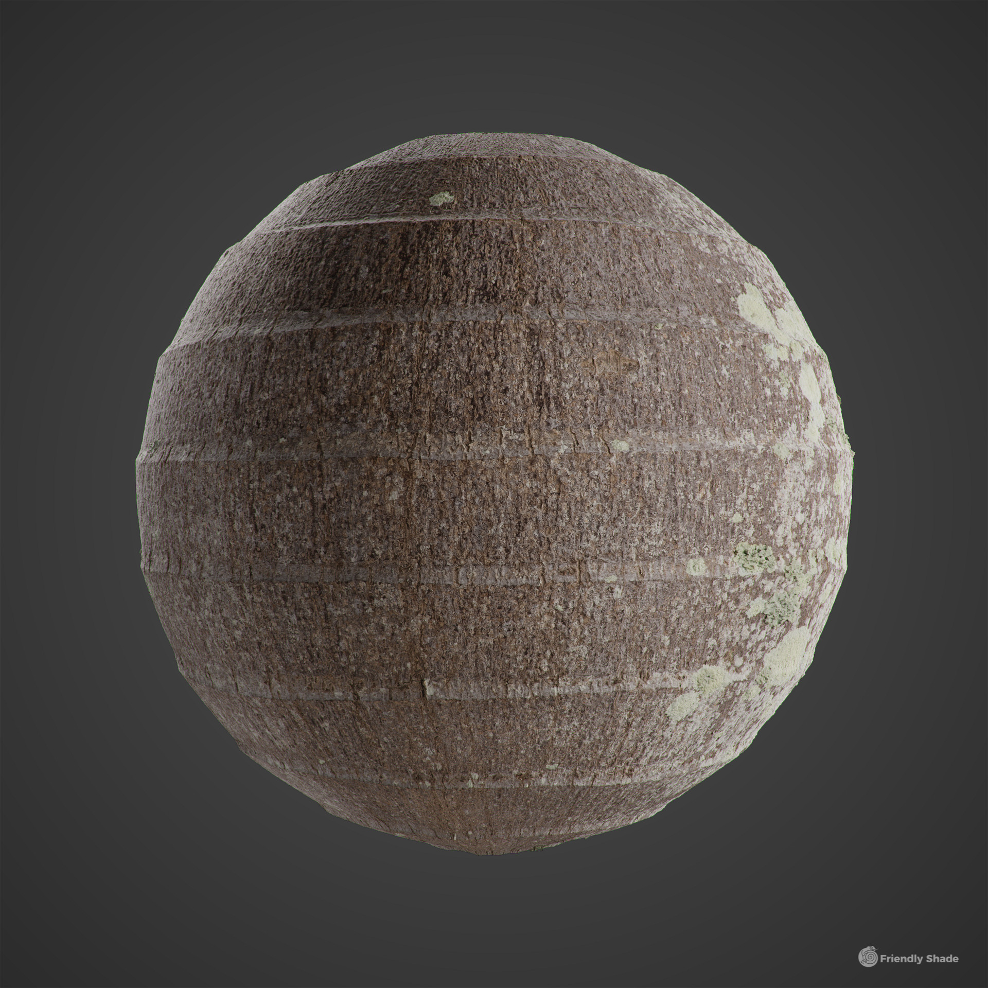 ArtStation - Friendly Shade - Palm Tree Bark 01 (Preview)