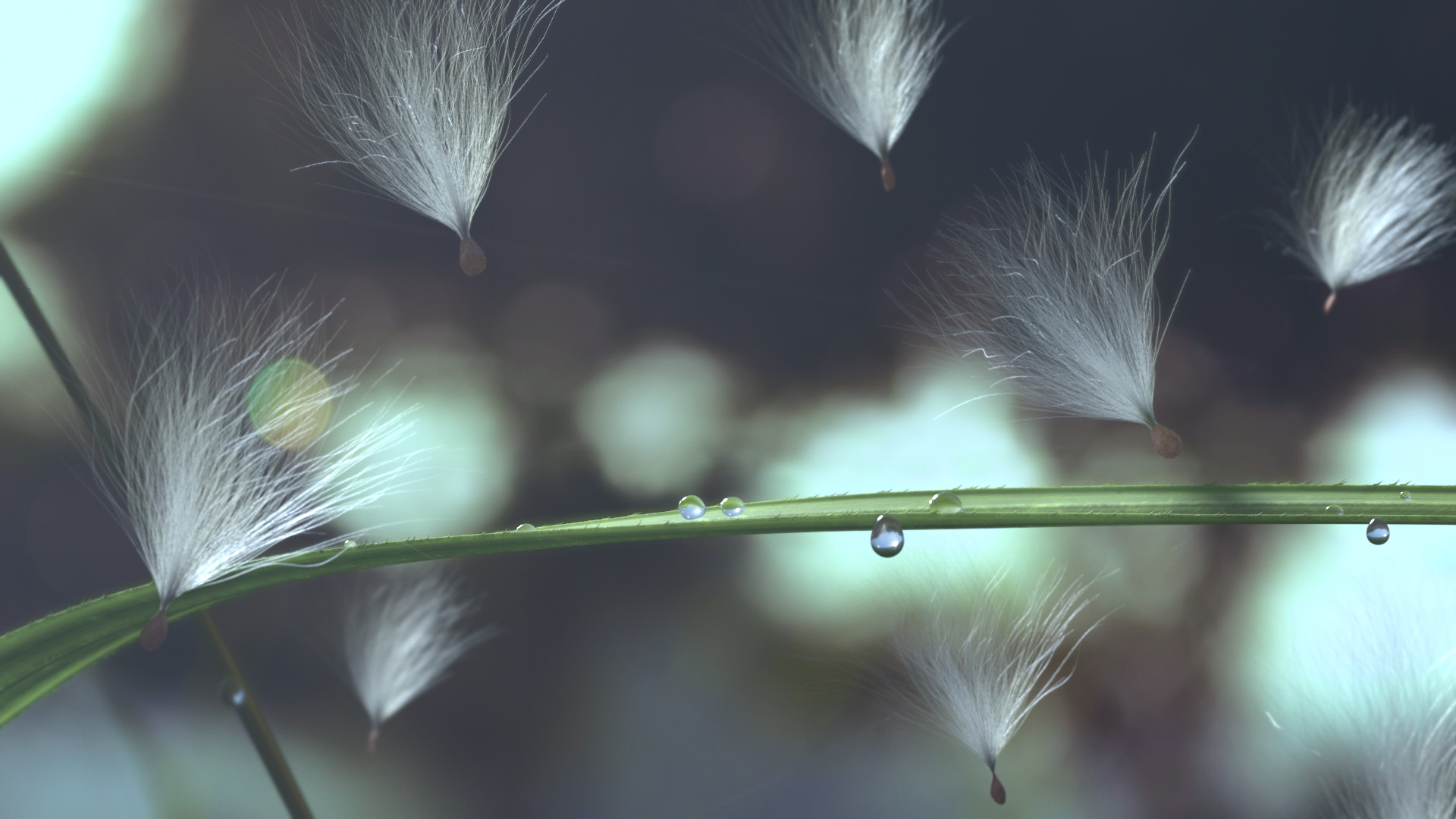 ArtStation - Sodom Apple Seeds