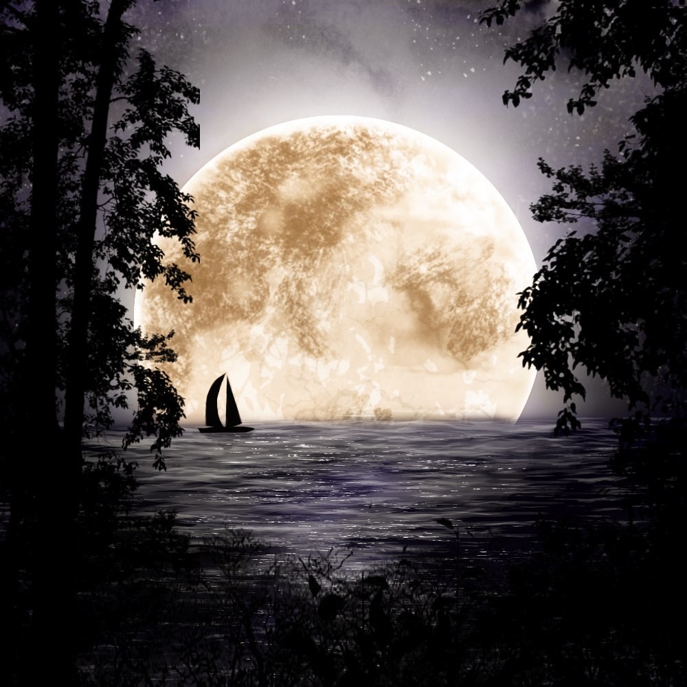 ArtStation - Night view