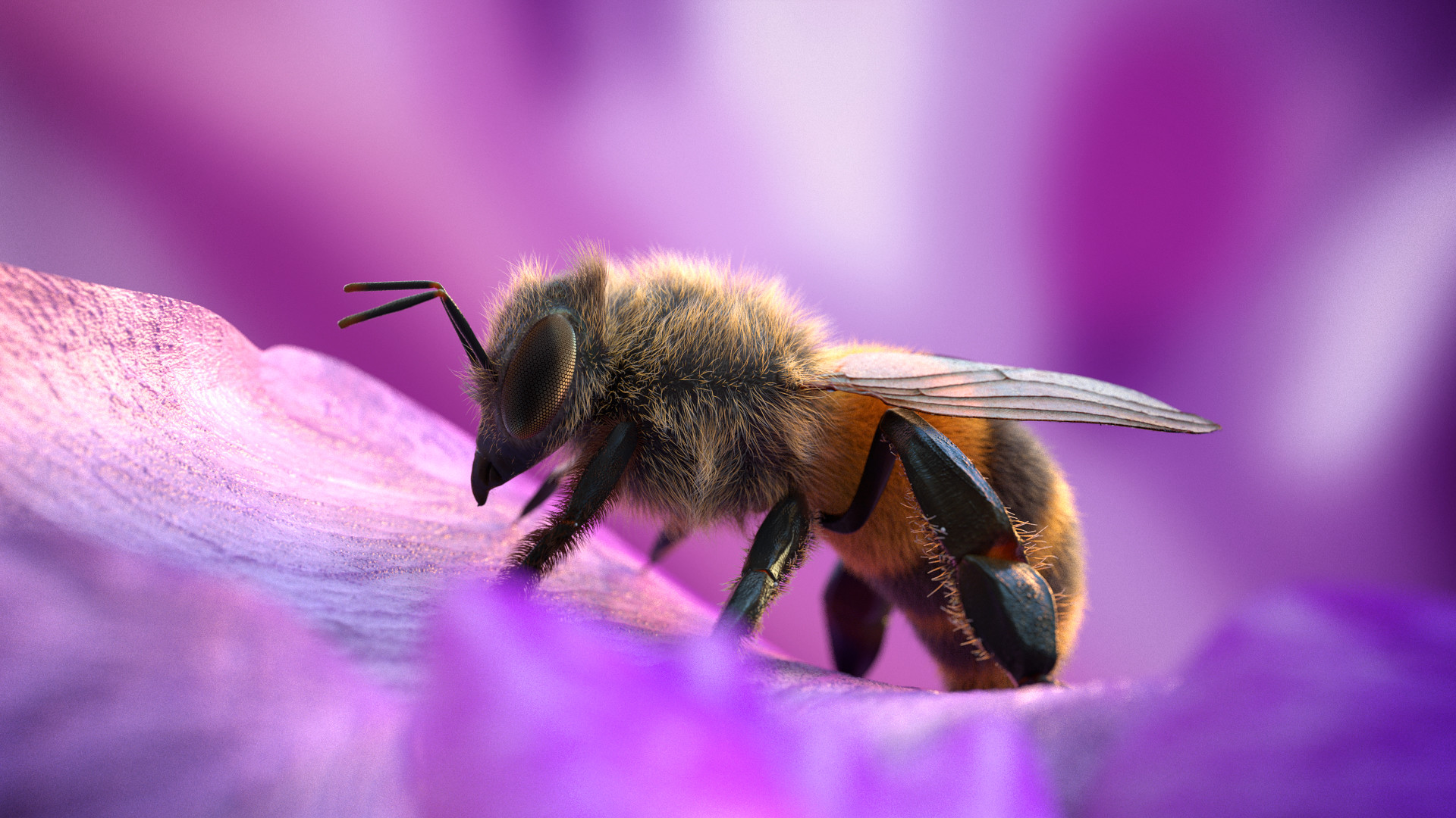 ArtStation - MacroBee