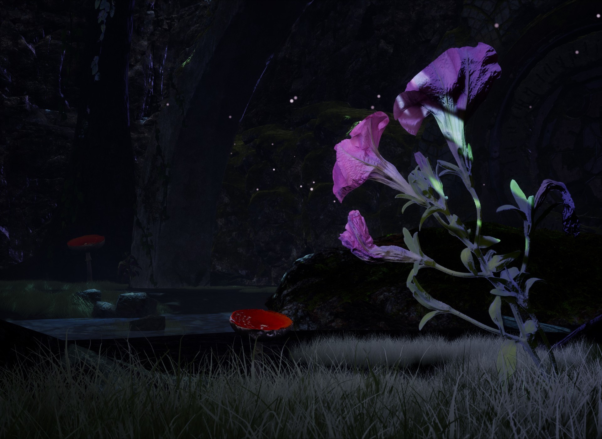 ArtStation - Flower in the night
