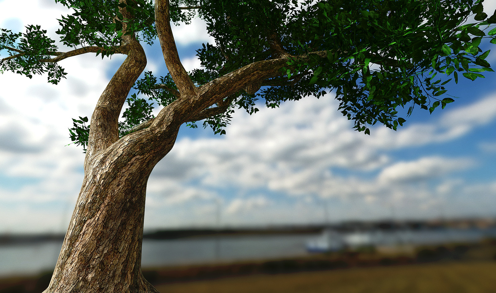 Grzegorz Baran - Tree Bark - Photogrammetry based Environment Texture