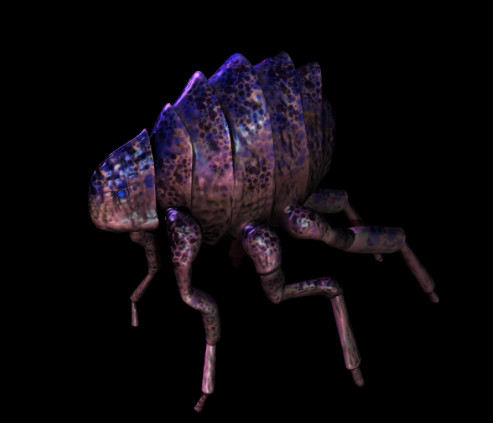 ArtStation - Cavalry Flea