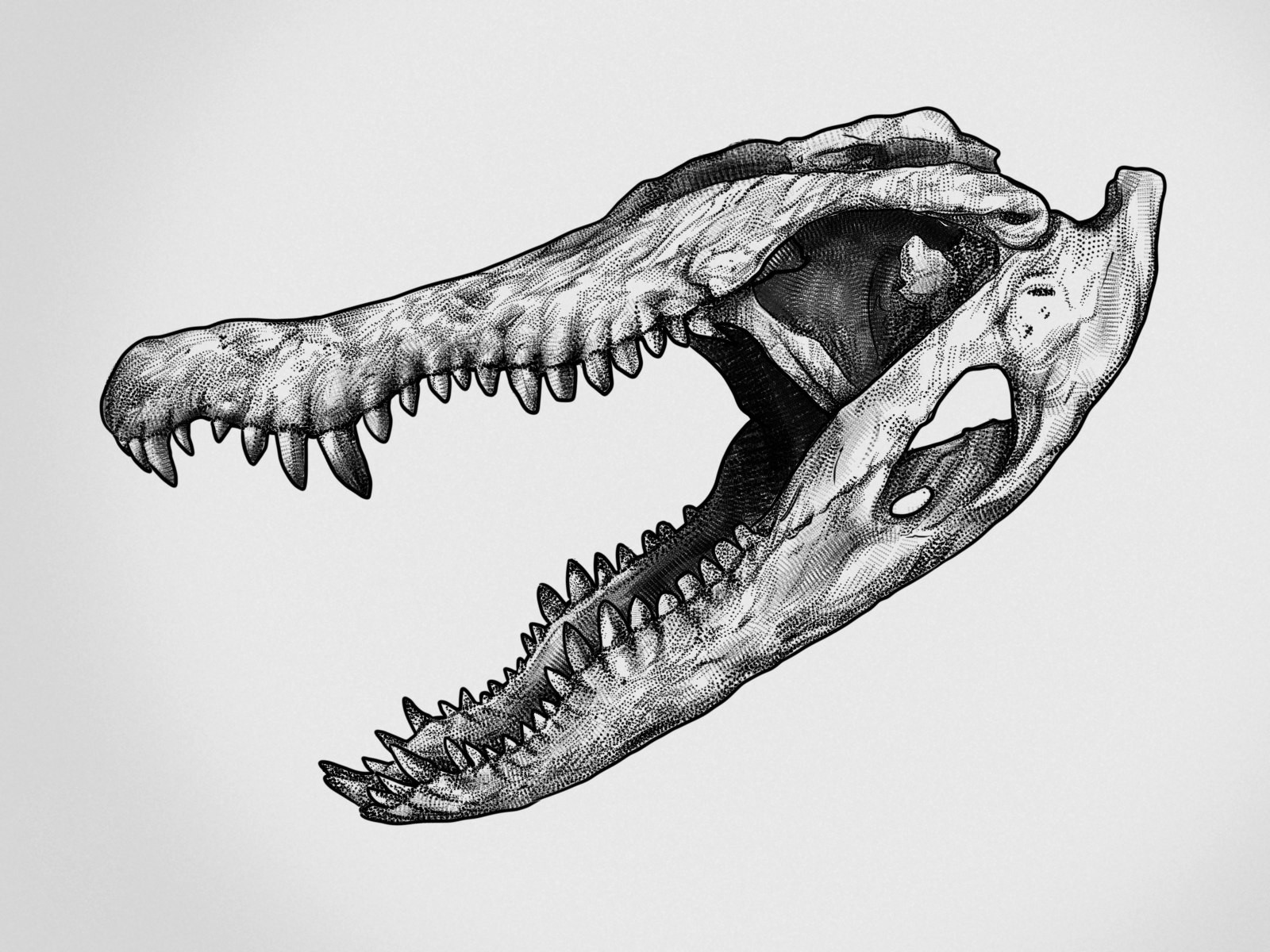 ArtStation - Reptilies