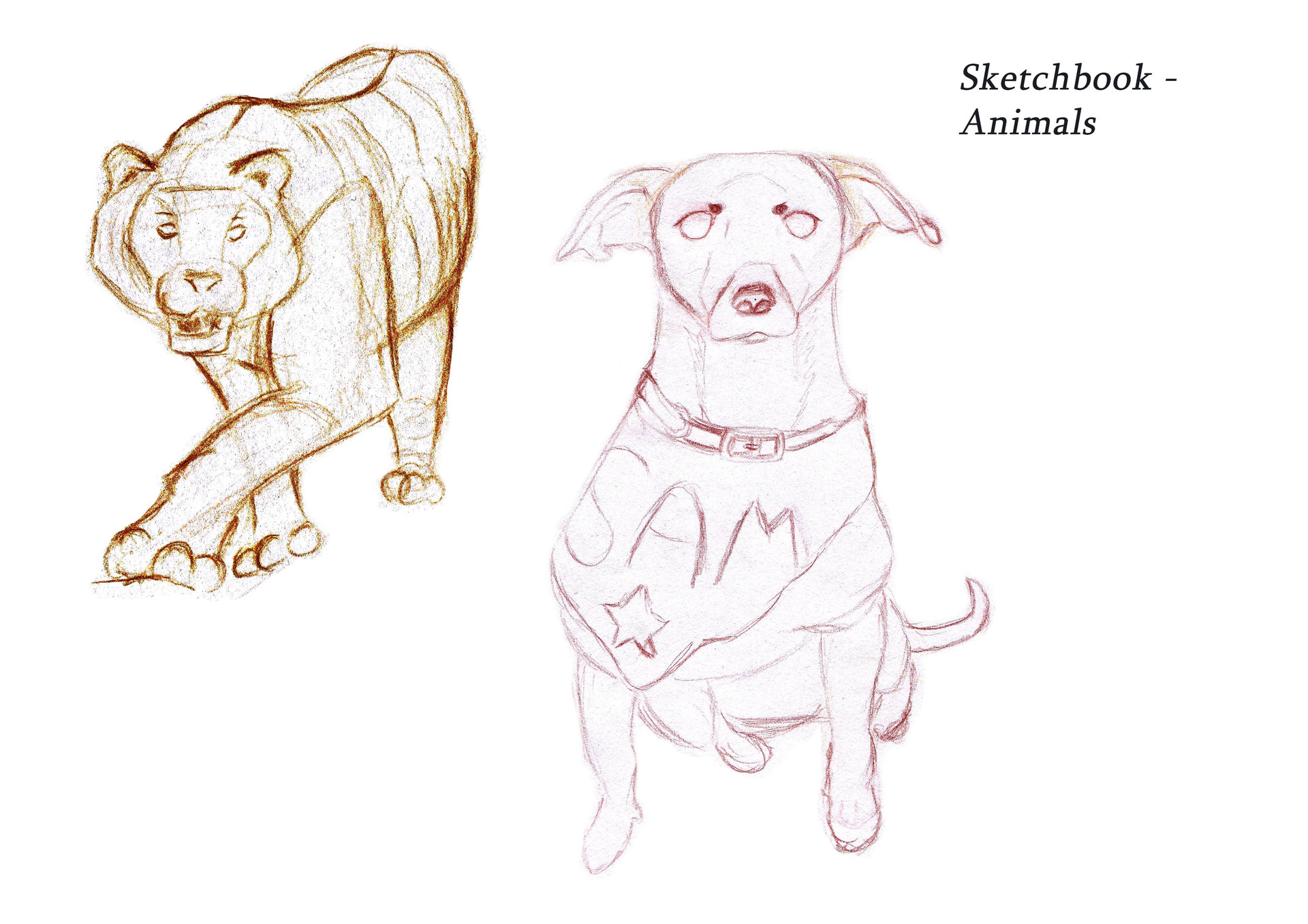 ArtStation - Sketchbook - Animals.