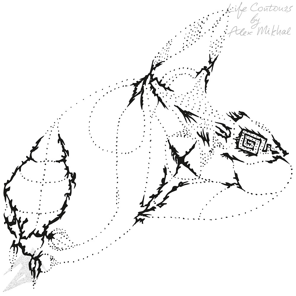 Alex Mikhal - Life Contours